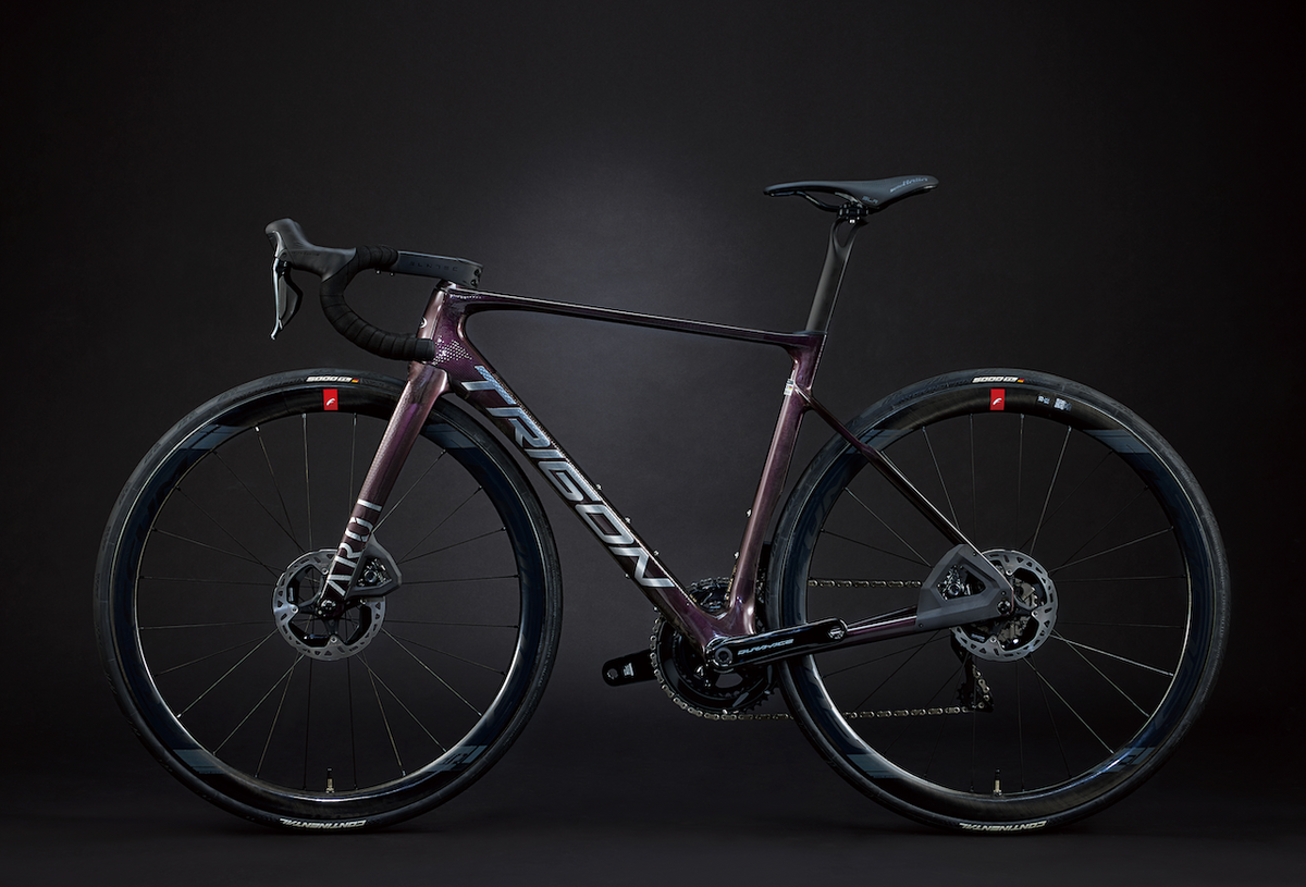 [예약 주문/ 런칭이벤트/ 장바구니 15% 자동 할인 적용] TRIGON AR01 BICYCLE // HAZY-VIOLET ...